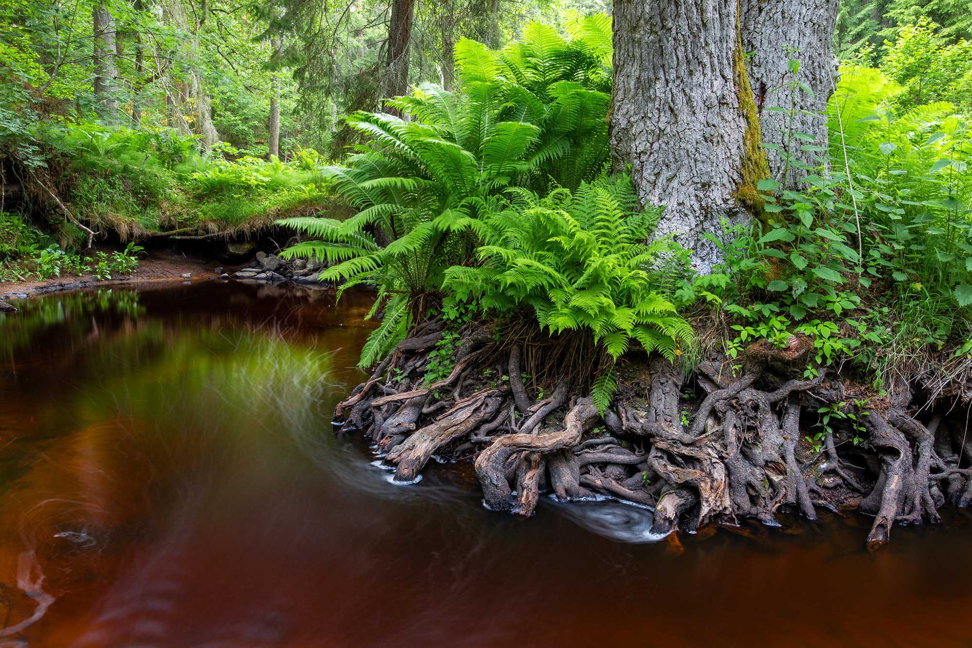 ILM.EE - ilmategija internetis