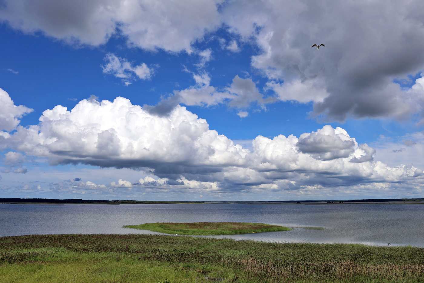 ILM.EE - ilmategija internetis