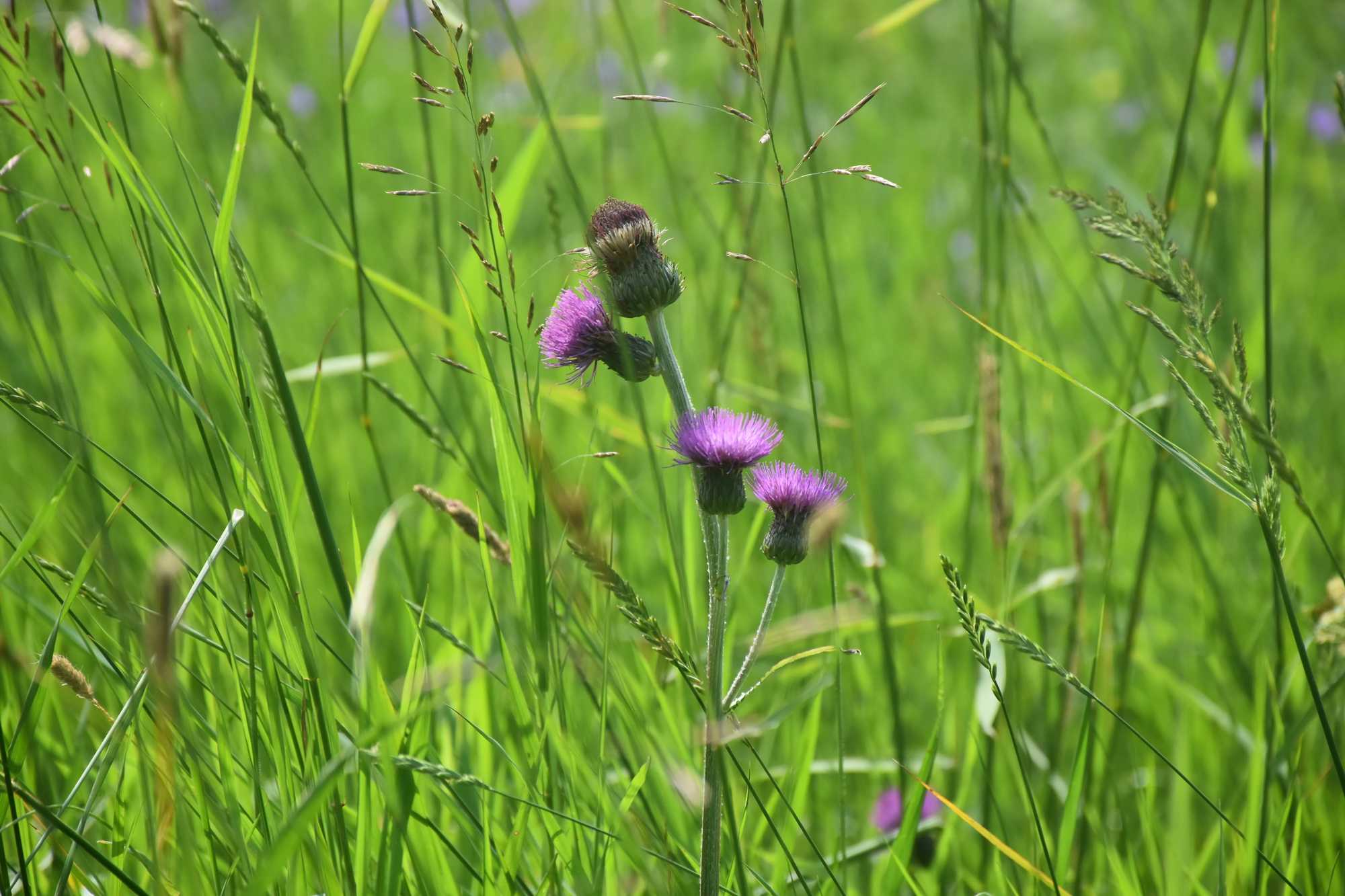 ILM.EE - ilmategija internetis