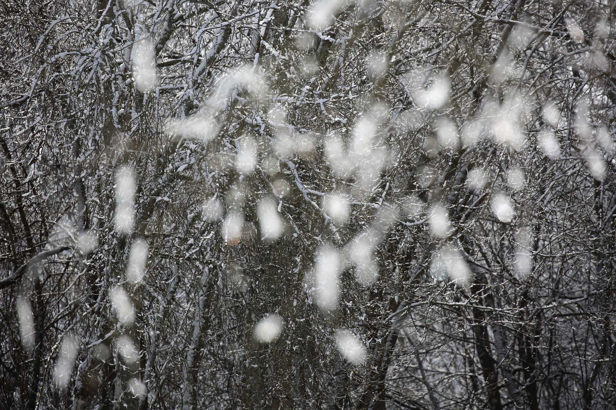 ILM.EE - ilmategija internetis